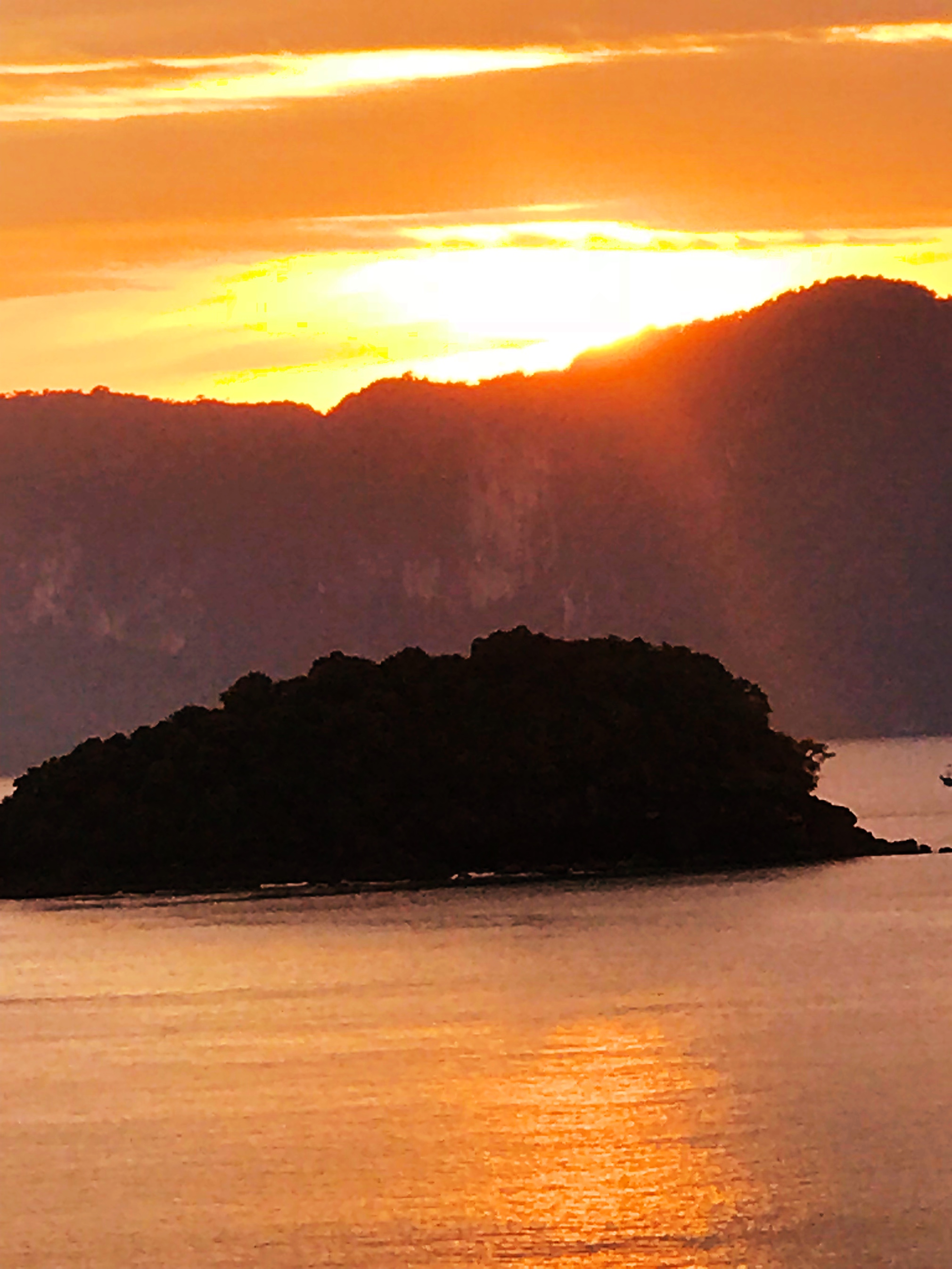 Food Archives - Page 3 of 3 - RUSTY THE DOG