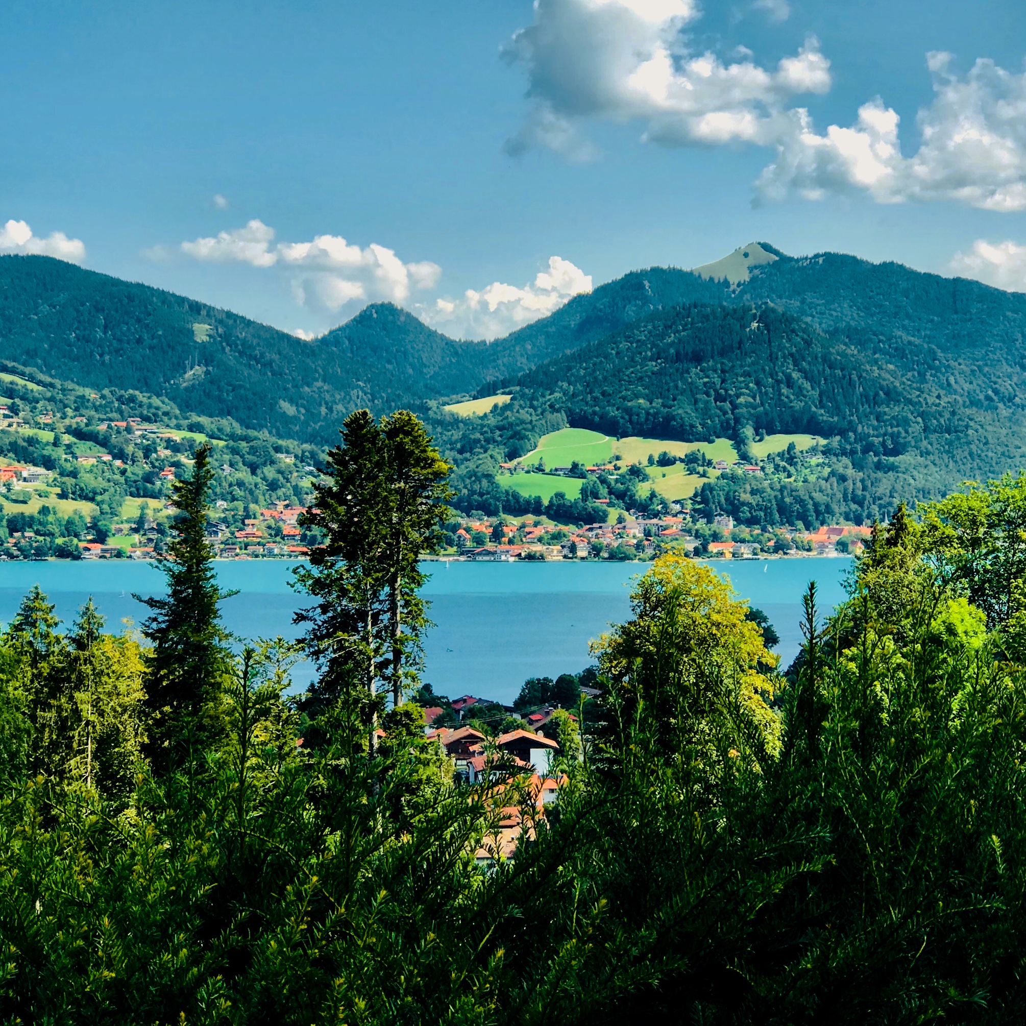 Hot Spot Lake Tegernsee - Food, Sports, Nature, Inspiration - RUSTY THE DOG