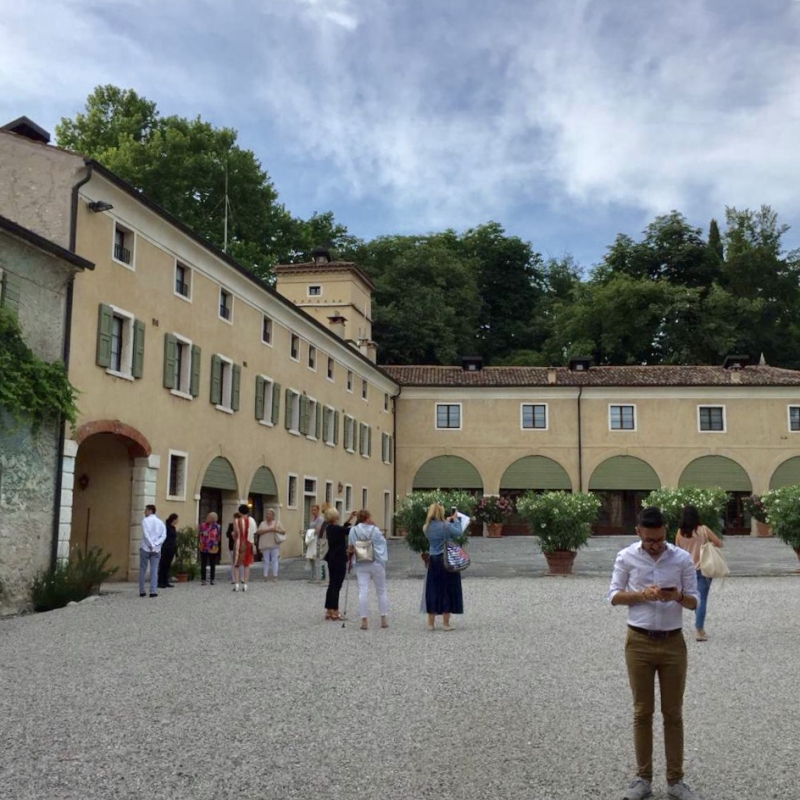 Divine Amarone – RUSTY THE DOG