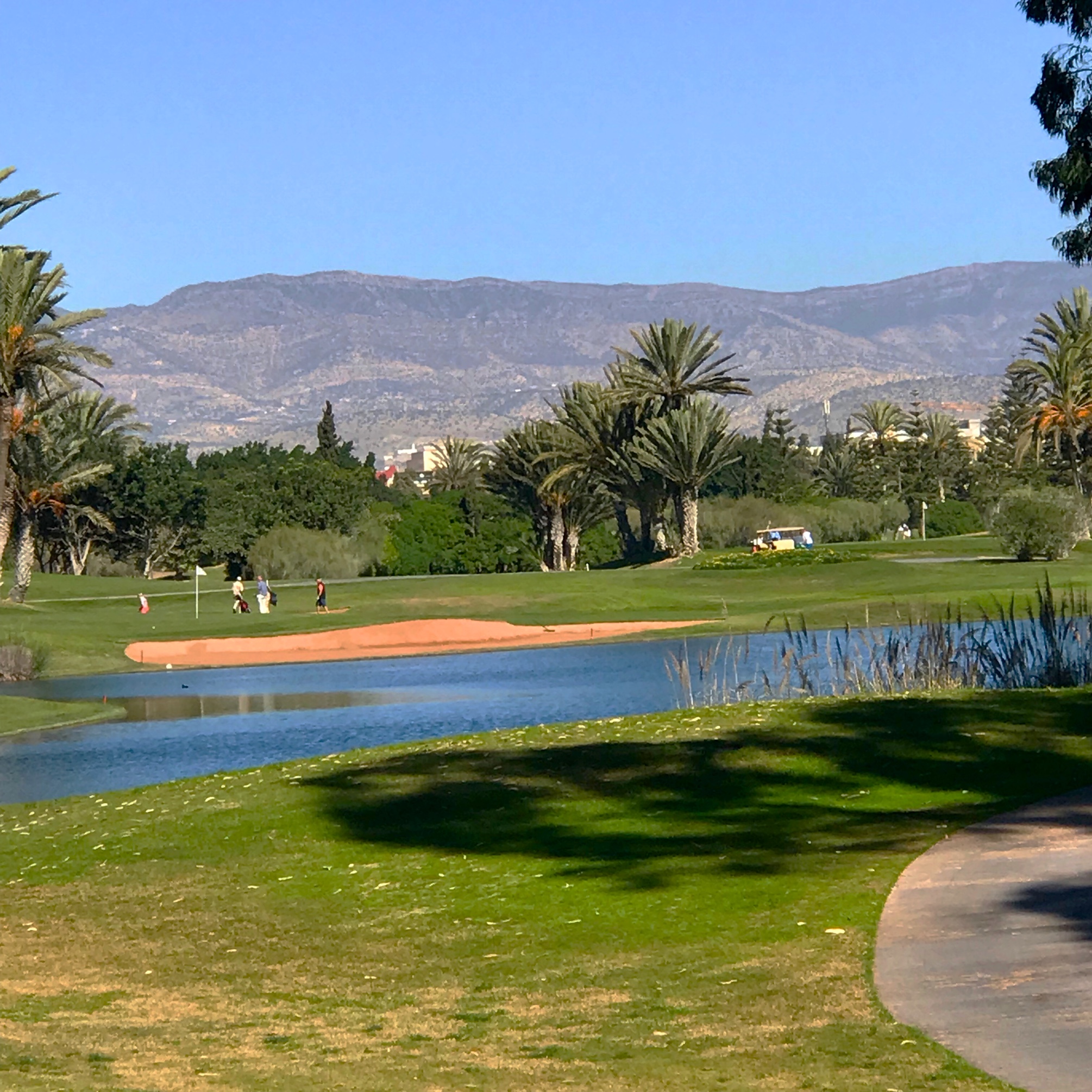 Golf Archives - RUSTY THE DOG